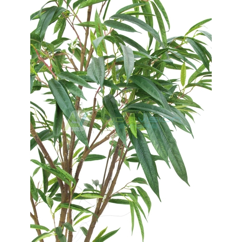 EUROPALMS Ficus Longifolia, thick trunk, artificial plant, 180cm ...