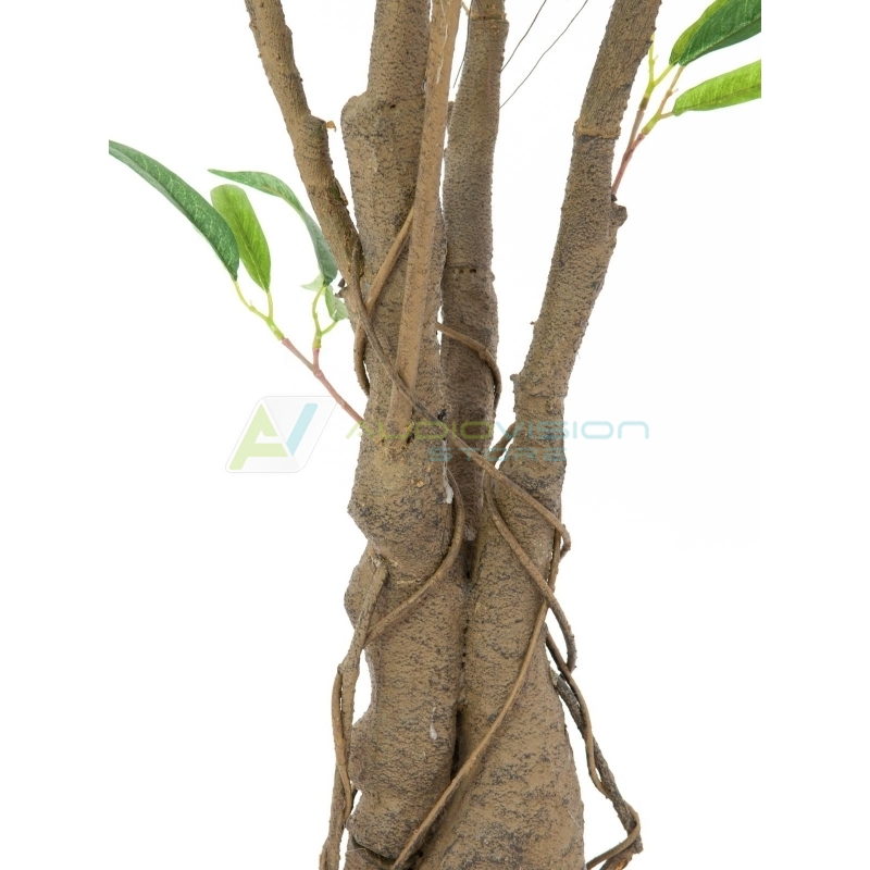 EUROPALMS Ficus Longifolia, thick trunk, artificial plant, 180cm ...
