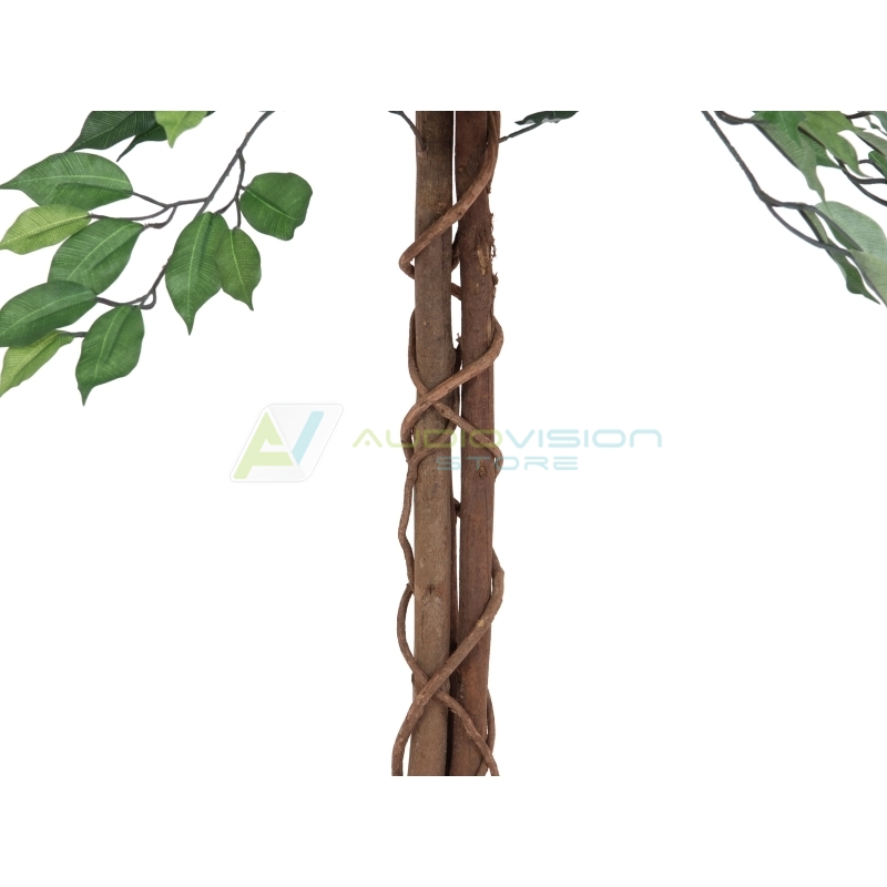 EUROPALMS Ficus Tree Multi Trunk, artificial plant, 150cm | AudioVision.ro