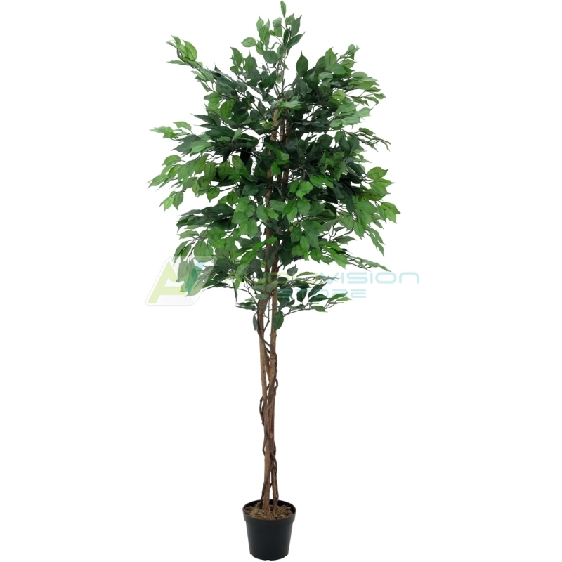 EUROPALMS Ficus Tree Multi Trunk, artificial plant, 210cm | AudioVision.ro