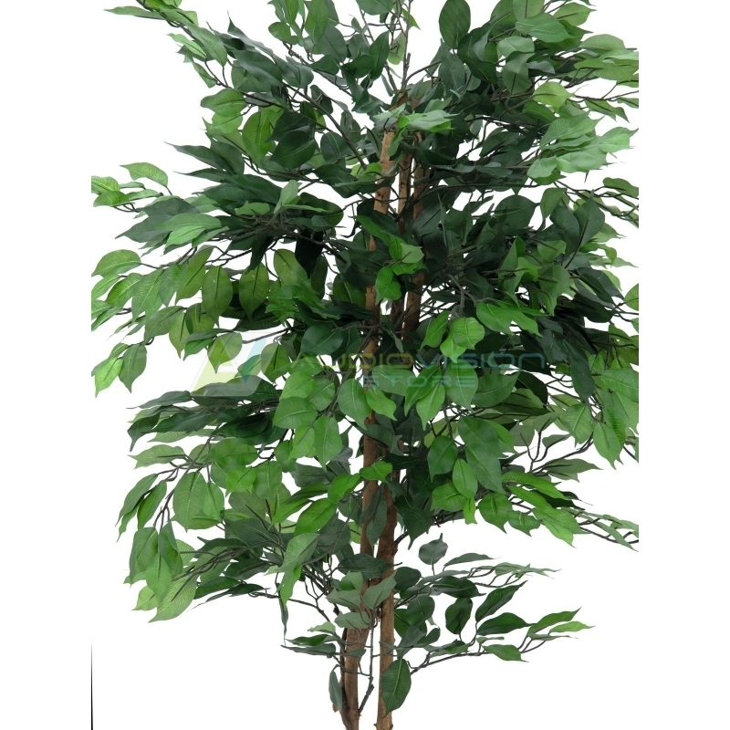 EUROPALMS Ficus Tree Multi Trunk, artificial plant, 210cm | AudioVision.ro